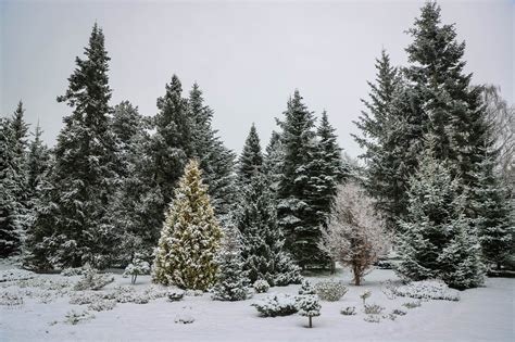 Jūrmala Jūrmala Added A New Photo