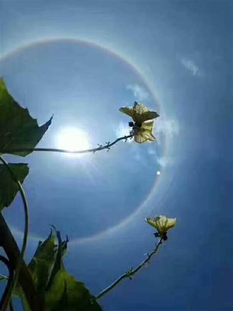 太阳出现大光圈 太阳带光圈是因为什么 为什么看太阳有光圈 大山谷图库