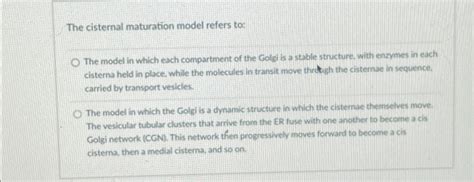 Solved The Cisternal Maturation Model Refers Tothe Model In