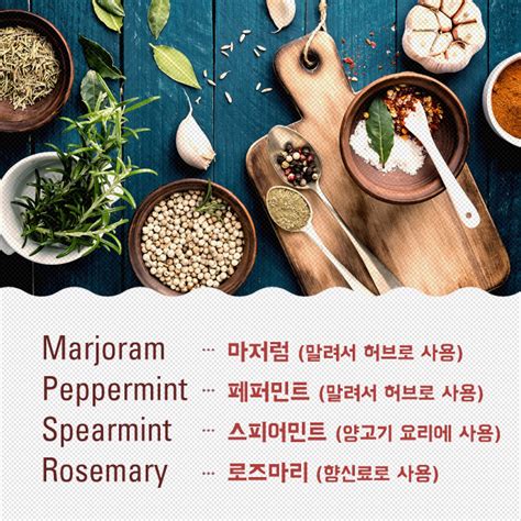 한솔요리학원 조리영단어 11 양식 요리에 풍미를 더하는 향신료 알아보기 덕분에영어가늘었어요😄