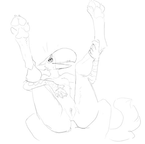 Rule 34 Anal Anal Sex Anthro Araçari Avian Beak Bird Black And White