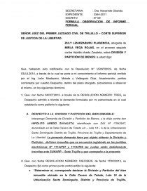 Arriba 107 Imagen Pericia Contable Modelo Abzlocal Mx