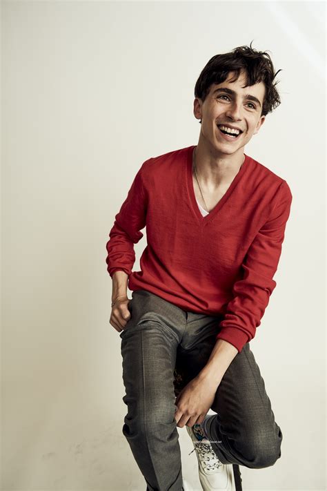 Timothée Chalamet 2018 Portraits Timothée Chalamet Photo