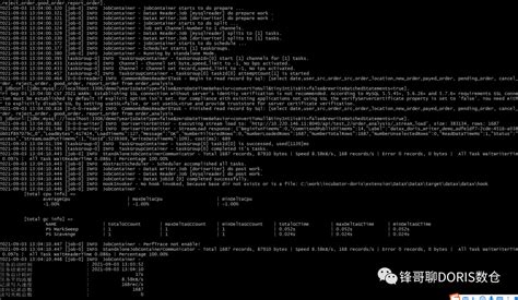 Apache doris Datax DorisWriter扩展使用方法 墨天轮
