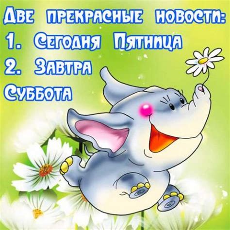 Ура, пятница! (6 фото)