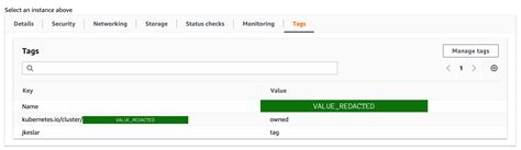 Tags Defined In Node Template For Aws Node Driver Propagated To Ec2 Instance But Not Ebs Volume