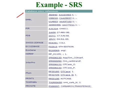 Data Retrieval Systems Pdf