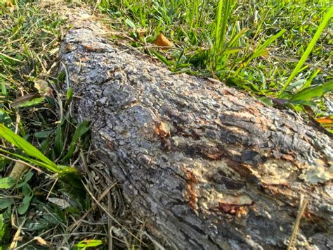 Huawei MatePad Pro Review A Premium PaperMatte Huawei Tablet Laptop Replacement Unit