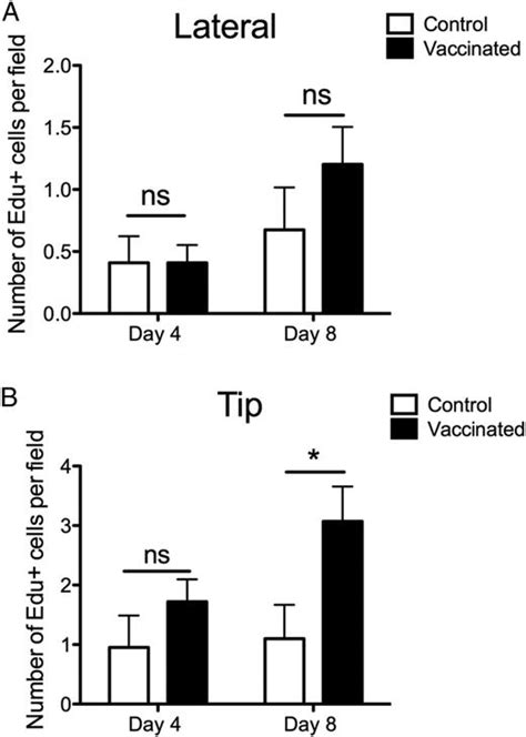 Tissue Microenvironments In The Nasal Epithelium Of Rainbow Trout
