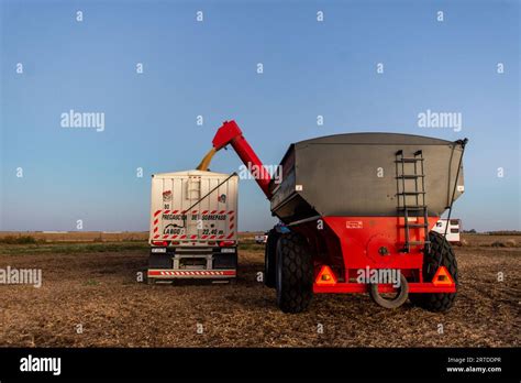 Combine Harvester Collecting Corn Grains In Rural Argentine Field Stock