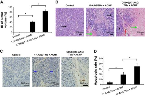 Inhibition Of The Growth Of Tumor In Bel 7404 Cell Bearing Mice By