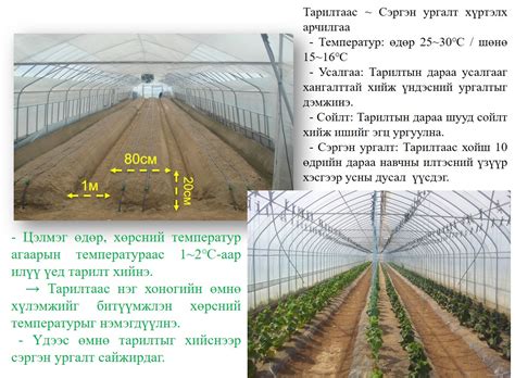 Х Хүнсний ногооны үйлдвэрлэл ба усалгаатай газар тариалан