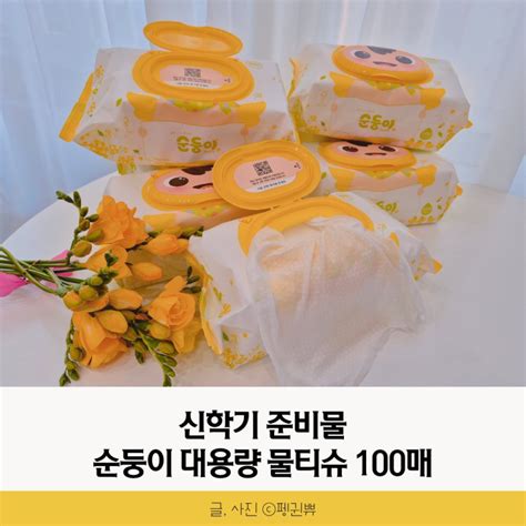대용량 물티슈 100매 신학기 준비물 순둥이 추천 촉촉하게 네이버 블로그