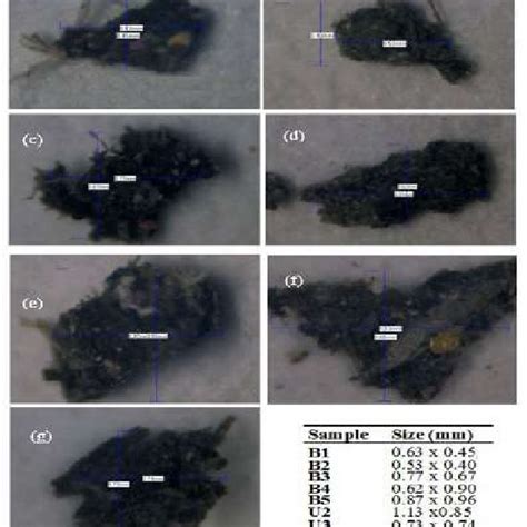 Image Of Shape And Approximate Size Of Sludge By Light Microscope For