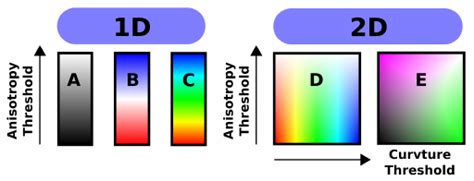 Fiber Tracking Of Muscle In Human Forearm The Elbow Is Located In The Download Scientific