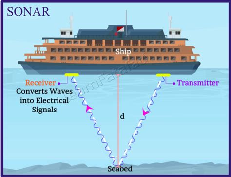 Sonar Circuit Wuthering Waves