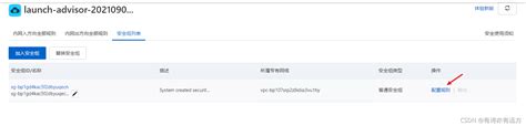 Aspnetcore项目部署（超详细版）aspnetcore部署 Csdn博客