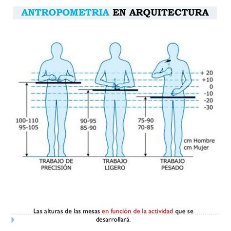 Antropometria Arquitectónica Design Rules Ergonomics Design