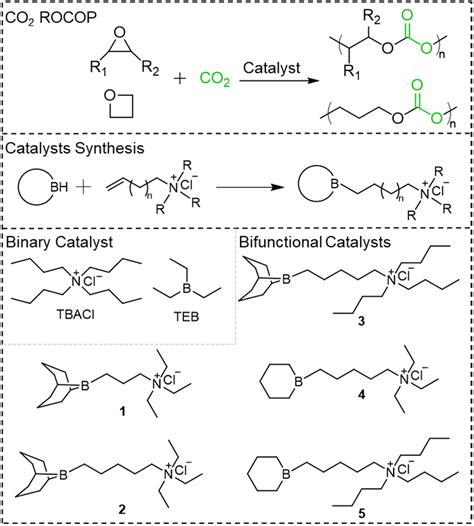 Borinane Based Organoboron Catalysts For Alternating Copolymerization Of Co 2 With Cyclic Ethers