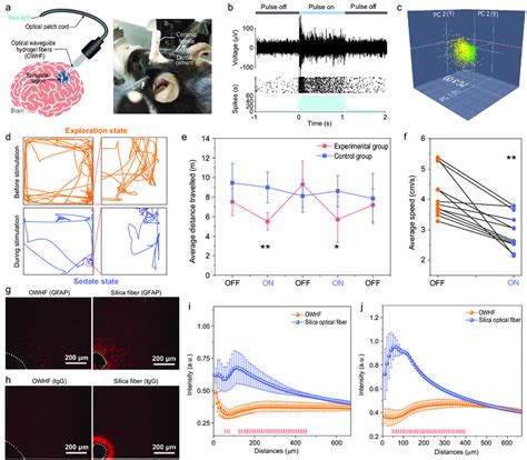 Optogenetic Stimulation For Brain Interface Communications A Left Download Scientific