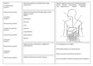 Ks3 Nutrition And Digestion Revision Mat By Bljohnson39 Teaching