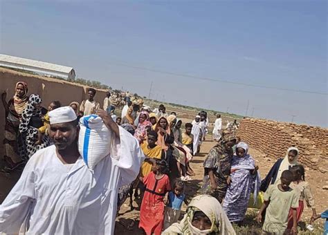 Rsf Kill 49 In Retaliatory Attack On East Al Jazirah Villages Sudan