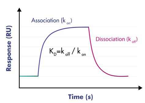 Surface Plasmon Resonance Assay Services Reaction Biology
