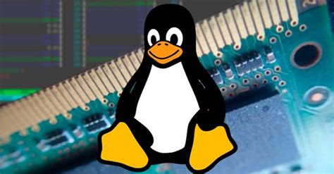 Swap en Linux Cómo activar y usar la memoria de intercambio