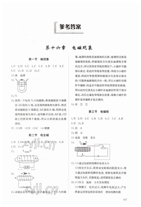 2023年初中同步练习册九年级物理下册鲁科版五四制明天出版社答案——青夏教育精英家教网——