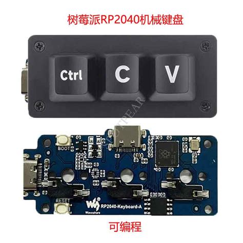 Pico Rp Ctrl C V