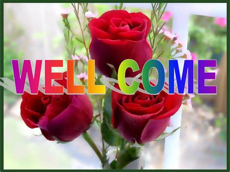 Probablistic Sampling Design Pdf