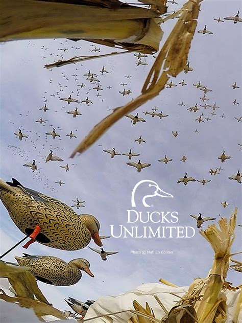 Ducks Unlimited Logo Wallpaper