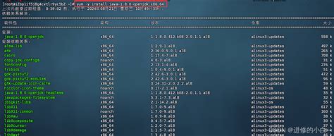 Linux环境下安装jdk的常用方法 【详细教程】linux 下载安装jkd Weget 命令 Csdn博客