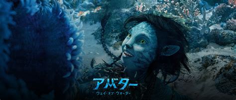 きれいな映像の代表格【映画アバター】週末は自宅で没入体験！ Movie Guide
