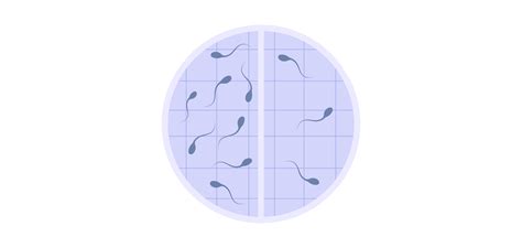 Low Sperm Count Ekam