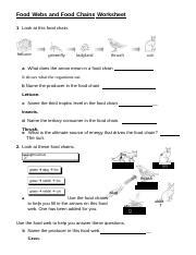 Understanding Food Webs And Food Chains Course Hero