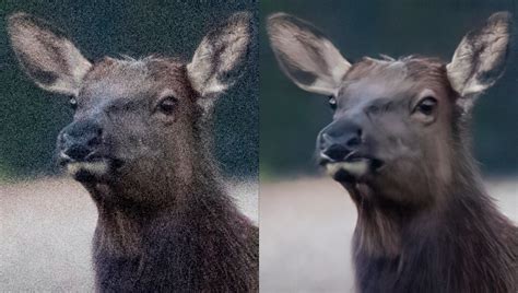 [review] Semua Detail Eksplisit Tentang Topaz Denoise Ai