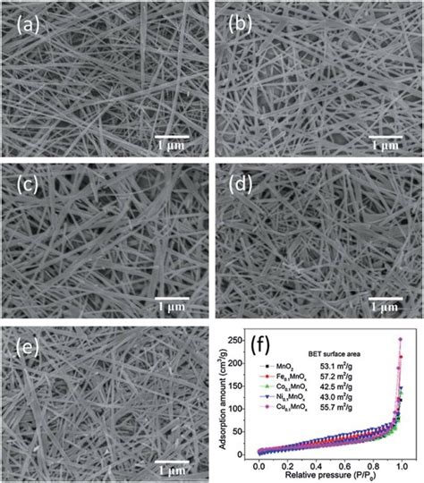 SEM Images Of A MnO 2 B Fe 0 1 MnO X C Co 0 1 MnO X D Ni