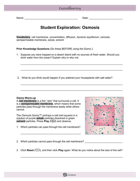 Osmosis Student Exploration Cell Membrane And Diffusion