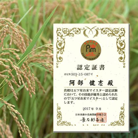 五ツ星お米マイスター厳選 カラフル布に包まれた極上こしひかりギフト（8合） 内祝いに送料無料ギフトotoya