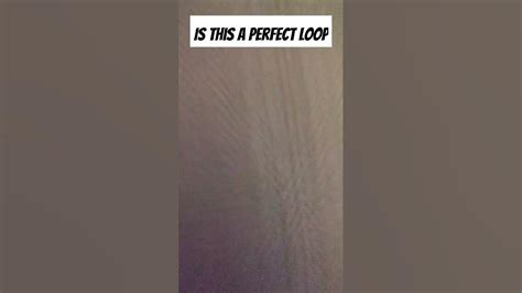 funny loop satisfyingloop endlessloop perfectloop youtube