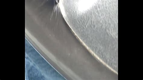 Candid Model X Xxx Mobile Porno Videos And Movies Iporntvnet