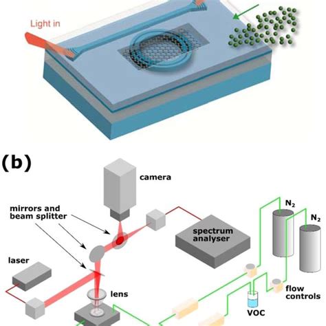 Schematic Of A Go Integrated Micro Ring Resonator Exposed To Voc