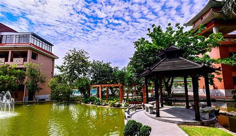 佛山南执黄冈复读学校 丰富经验特色教学
