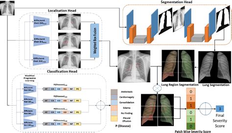 Figure 2 From Multi Head Deep Learning Framework For Pulmonary Disease