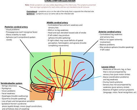 Congratulations The Png Image Has Been Downloaded Stroke Artery Symptoms Hd Png Download