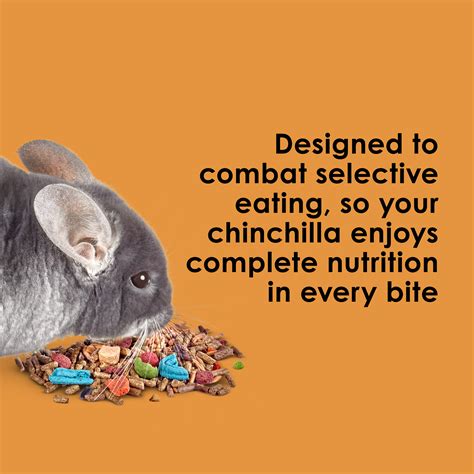 What Can Chinchillas Not Eat