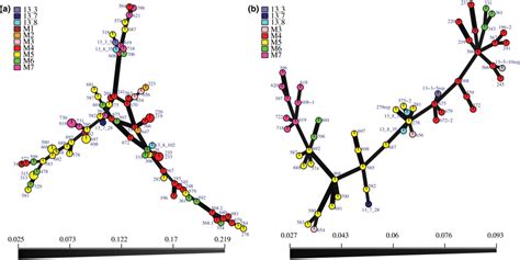Minimum Spanning Networks Msns Inferred Using Ssrs A And Snps B