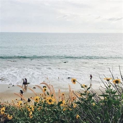 Попробовать тихую жизнь на вкус Хотеть время от времени проводить время наедине с собой вовсе не