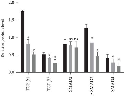 Activation of the EMT by HOXC6 in GBM Expressions of TGF β1 TGF β2